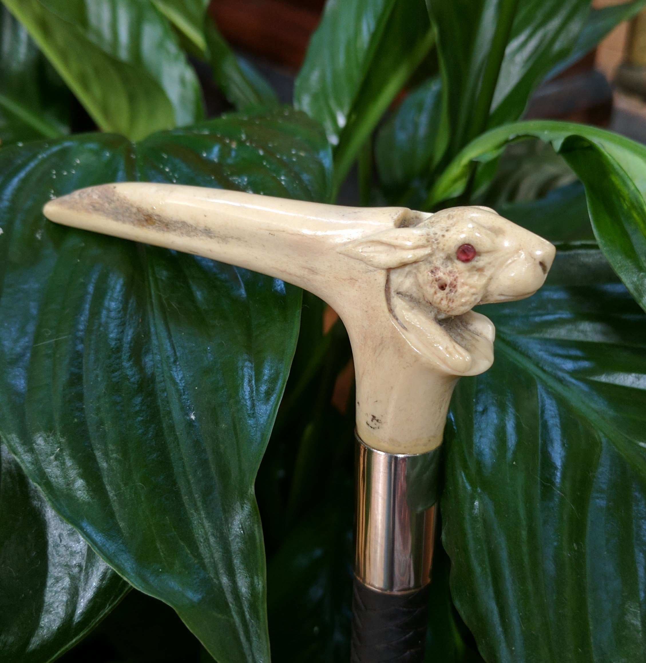 A collection of vintage and antique Hunting Whips & crops for sale ...