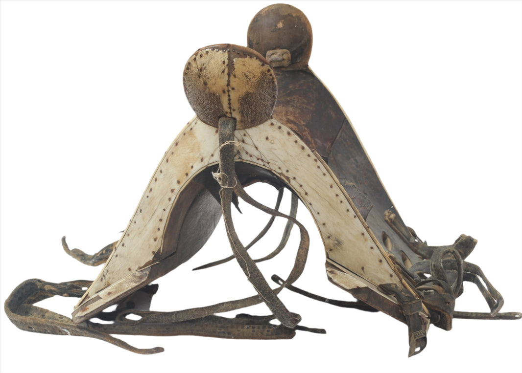 Equestrian and Sporting Antiques – Sporting Collection
